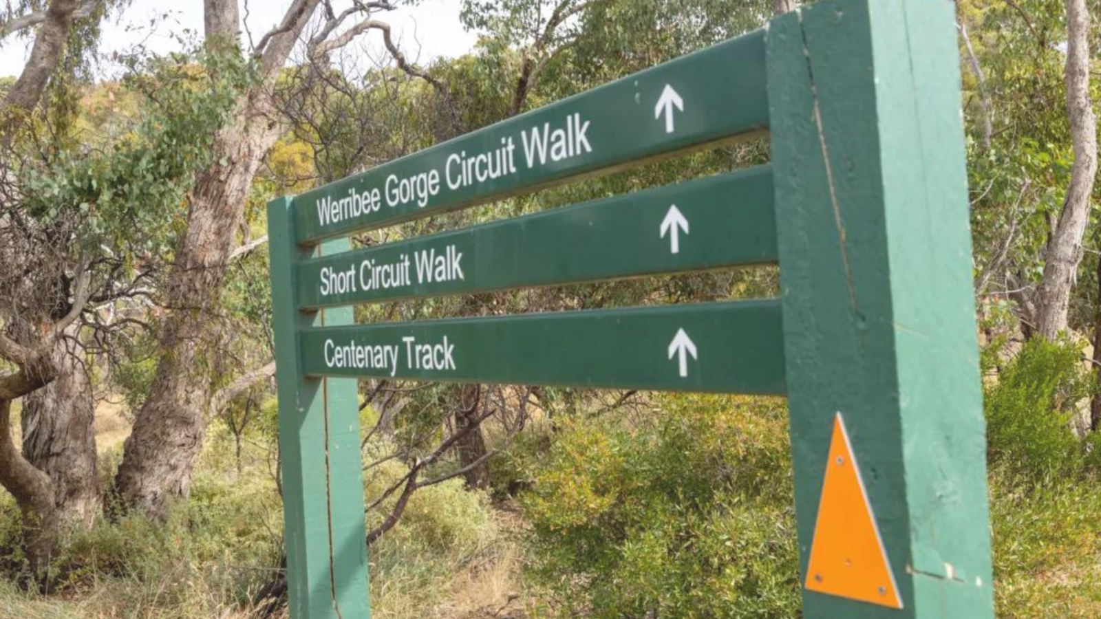 Werribee Gorge: A Natural Wonderland Waiting to be Explored